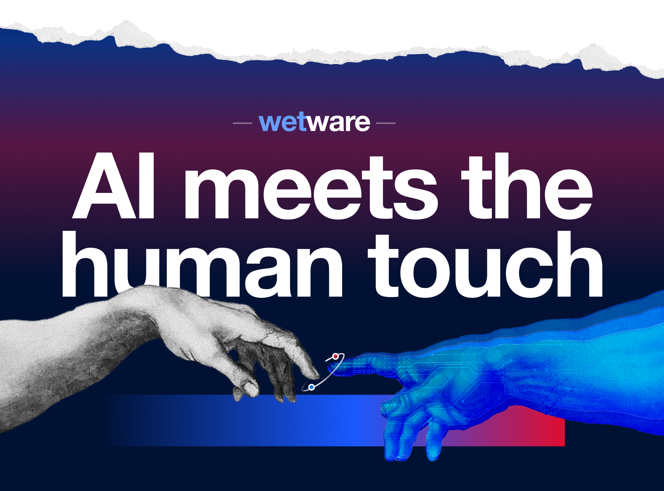 KingFish + Partners | Wetware